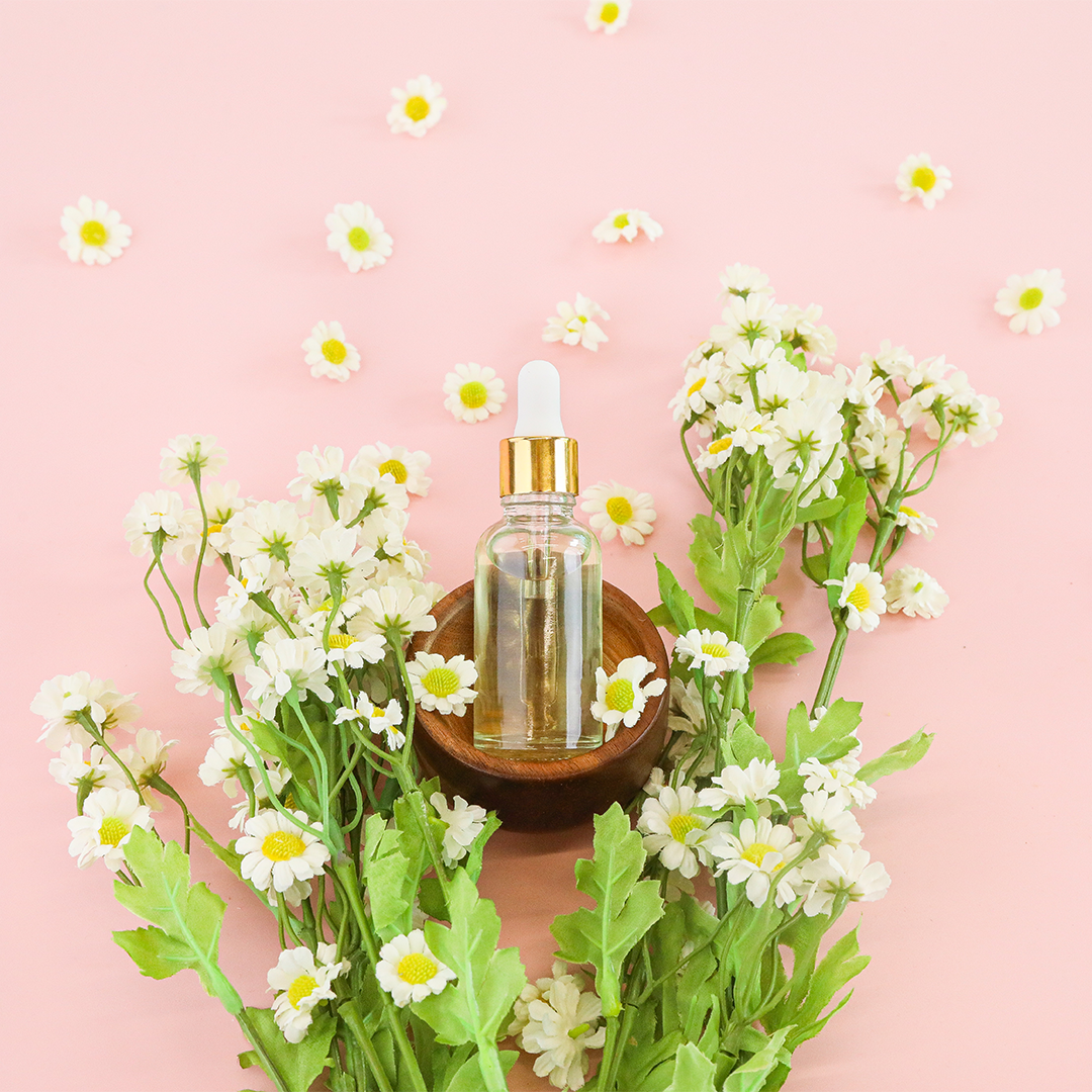 Fiona Fish | Sea Animals – Spongellé